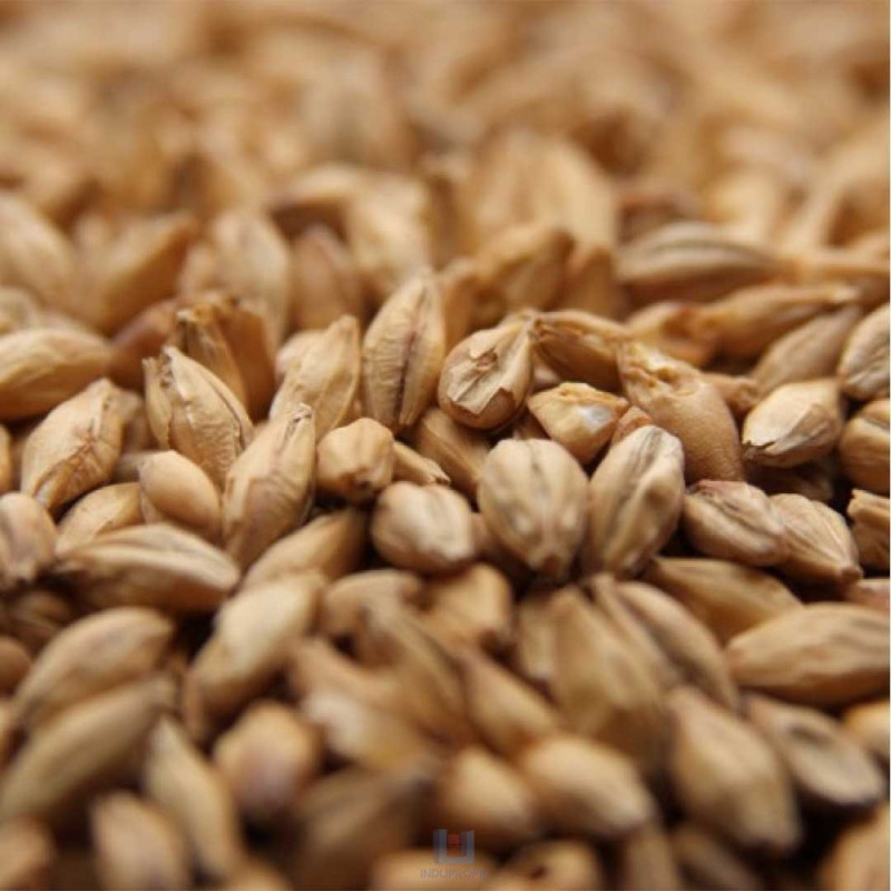 Malte Carapils Weyermann - Kg | Cerveja leve artesanal.